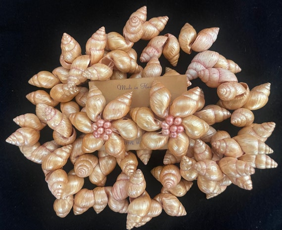 Vintage Hawaii Native Handcrafts TROCHUS SHELL Lei Ne… - Gem