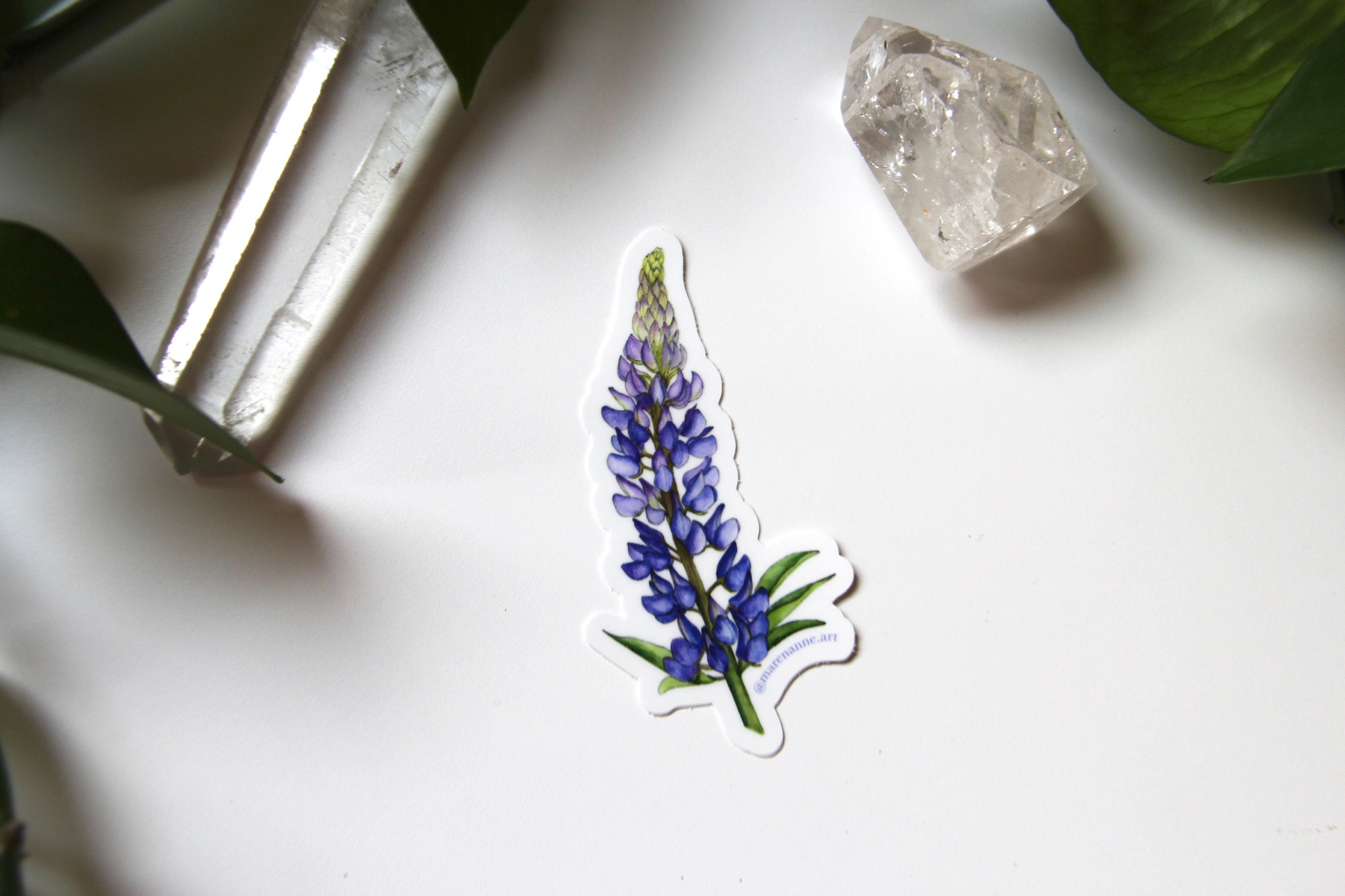 Watercolor Lupine Sticker Lupine Vinyl Sticker Wildflower | Etsy