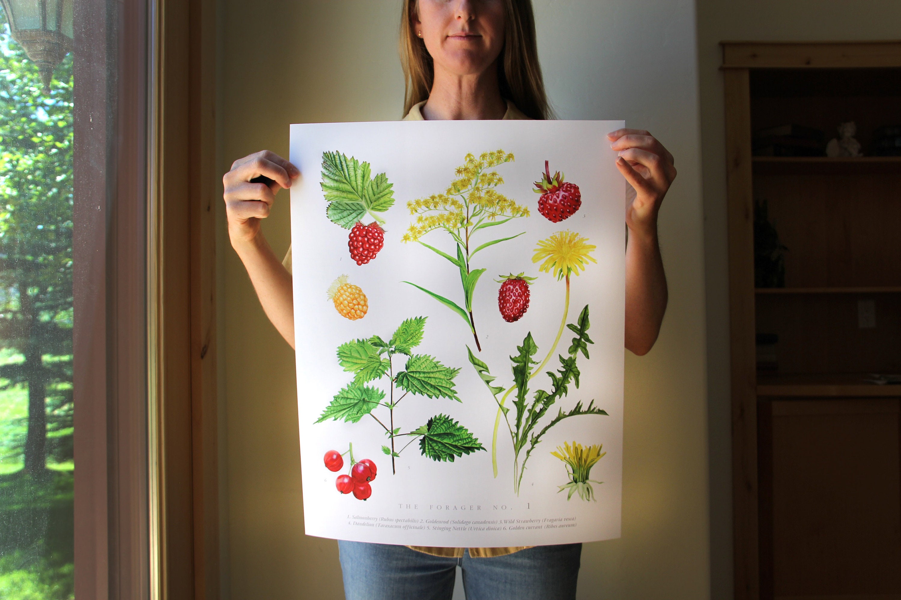 The Forager No. 1- Edible Wild Foods Poster, Foraging Poster, Edible ...
