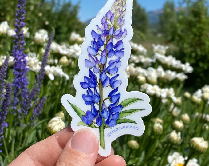 Watercolor Lupine Sticker Lupine Vinyl Sticker, Wildflower Stickers ...