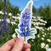 Watercolor Lupine Sticker- Lupine Vinyl Sticker, Wildflower Stickers ...