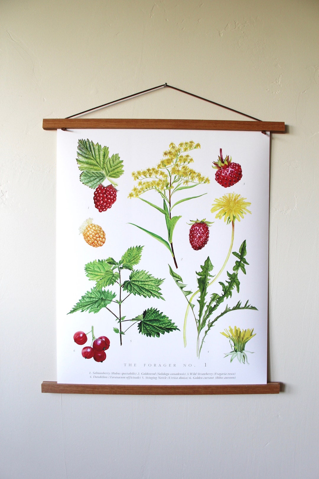 The Forager No. 1- Edible Wild Foods Poster, Foraging Poster, Edible ...