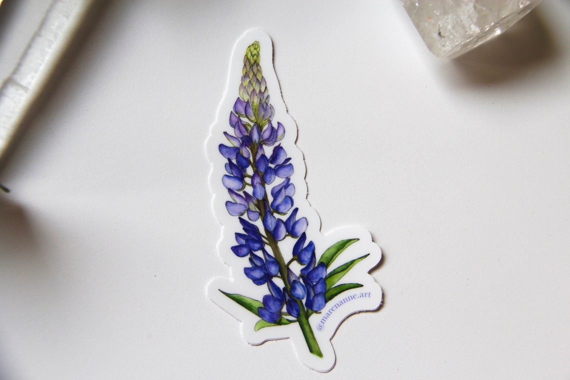 Watercolor Lupine Sticker- Lupine Vinyl Sticker, Wildflower Stickers ...