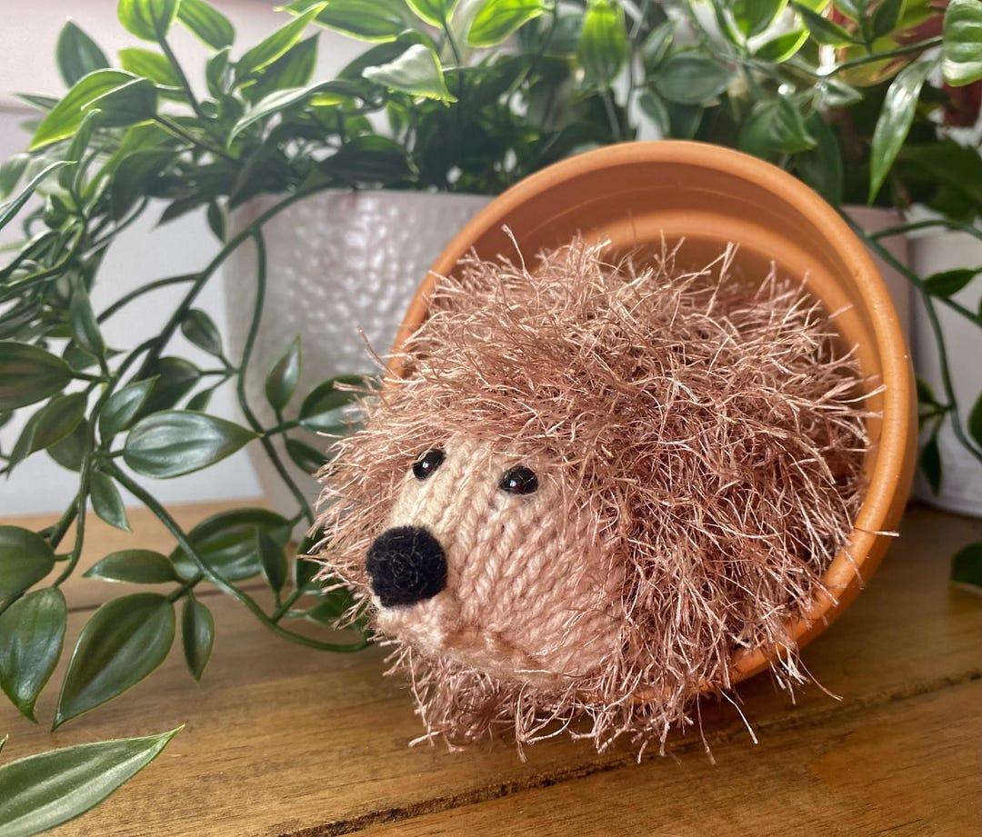 Fyne Hedgehog Chocolate Orange Toy Knitting Pattern - Etsy