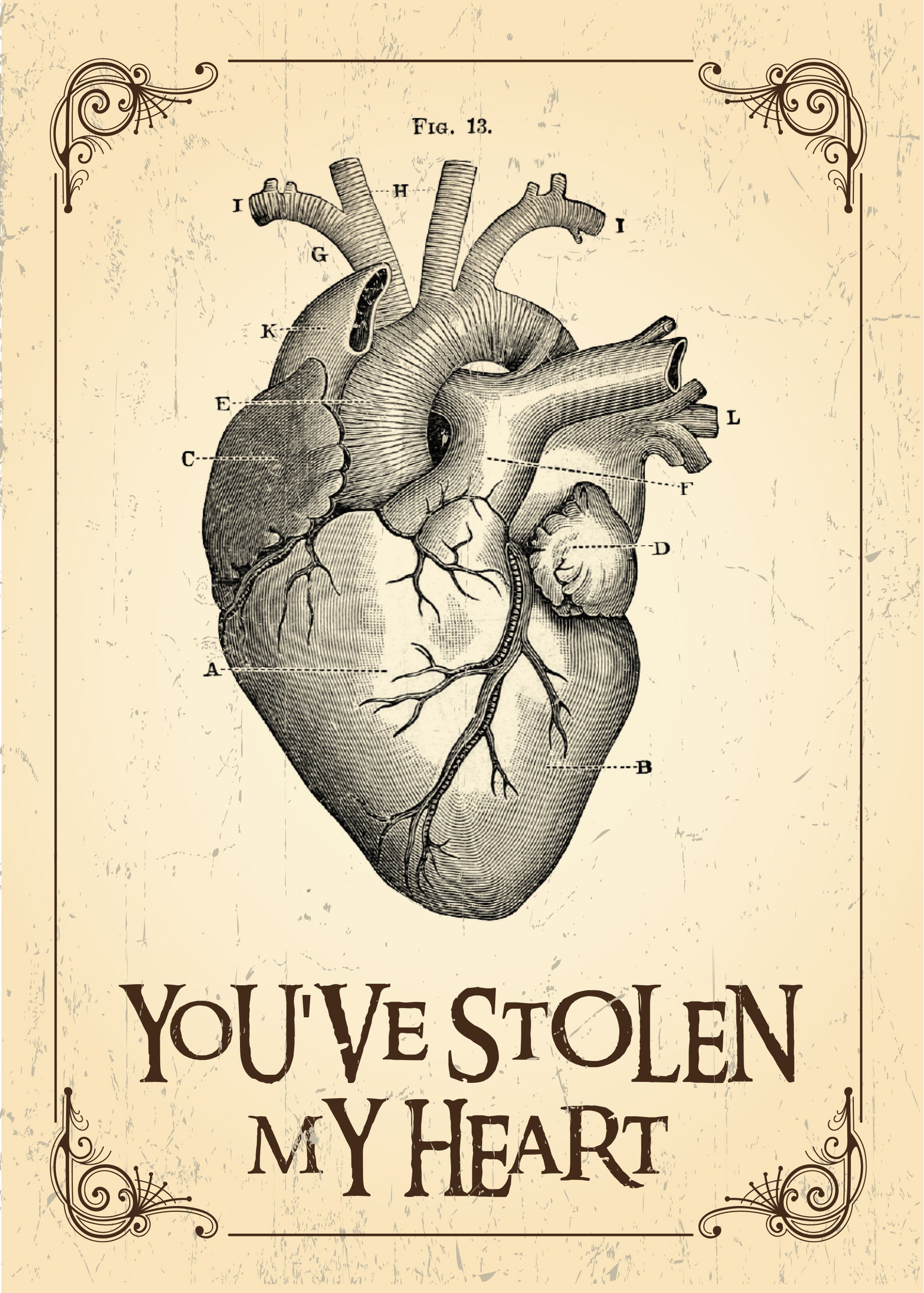 You've Stolen My Heart Alternative Anatomy Valentines | Etsy New Zealand