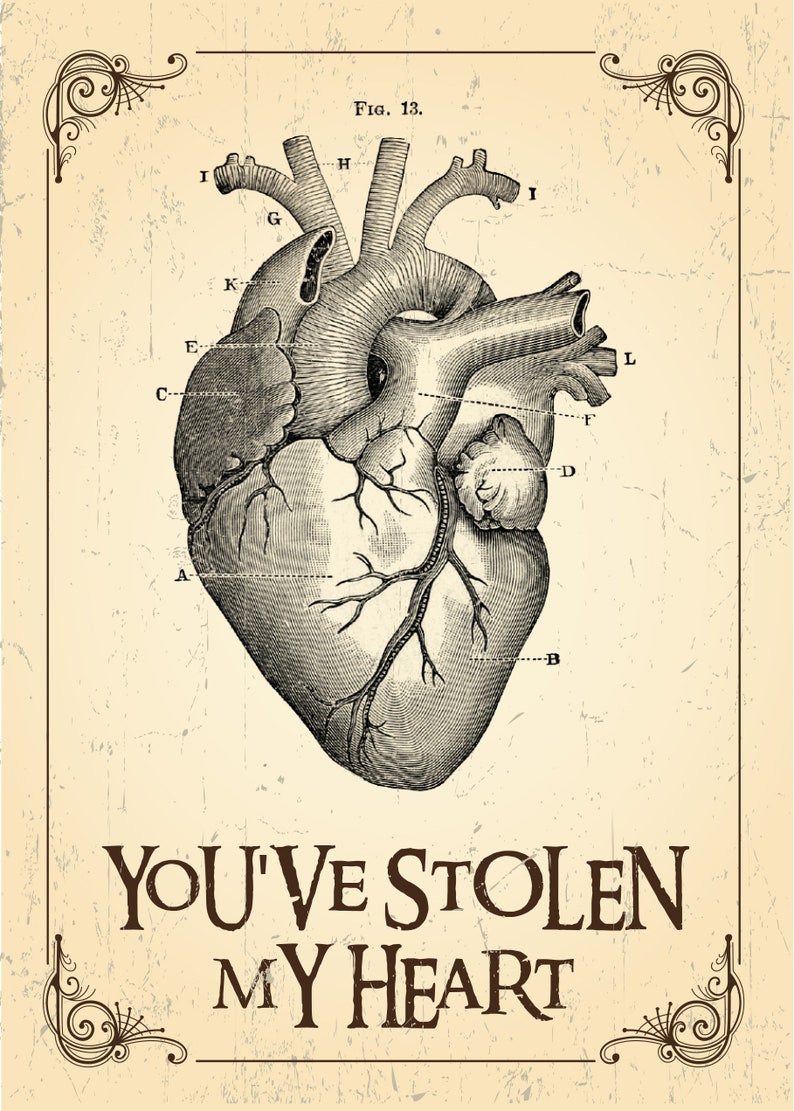 You've Stolen My Heart - Alternative Anatomy Valentines Love Card ...