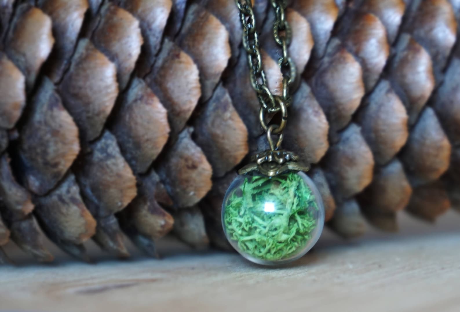 Real Moss Necklace Preserved Plant Necklace Moss Terrarium | Etsy