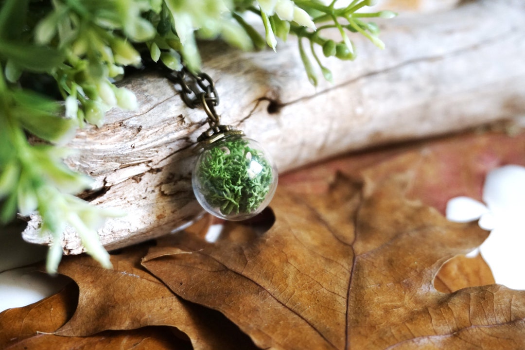 Real Moss Necklace From the Forest Unique Terrarium Pendant - Etsy
