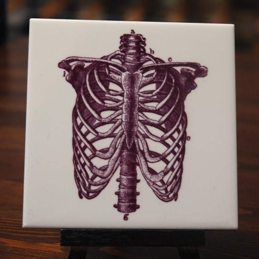 Vintage Anatomy Printed Ceramic Coaster Set of 4 Dark Decor | Etsy