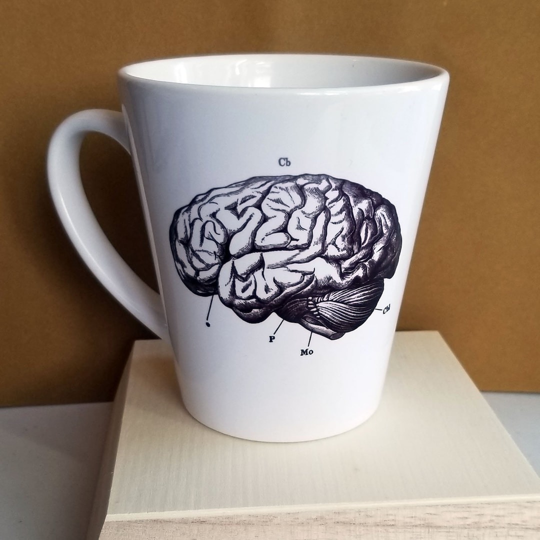 Vintage Brain Anatomy Illustration 11 Ounce Ceramic Latte Mug Dark ...