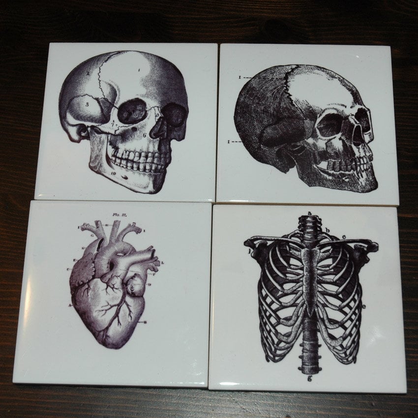 Vintage Anatomy Printed Ceramic Coaster Set of 4 Dark Decor | Etsy