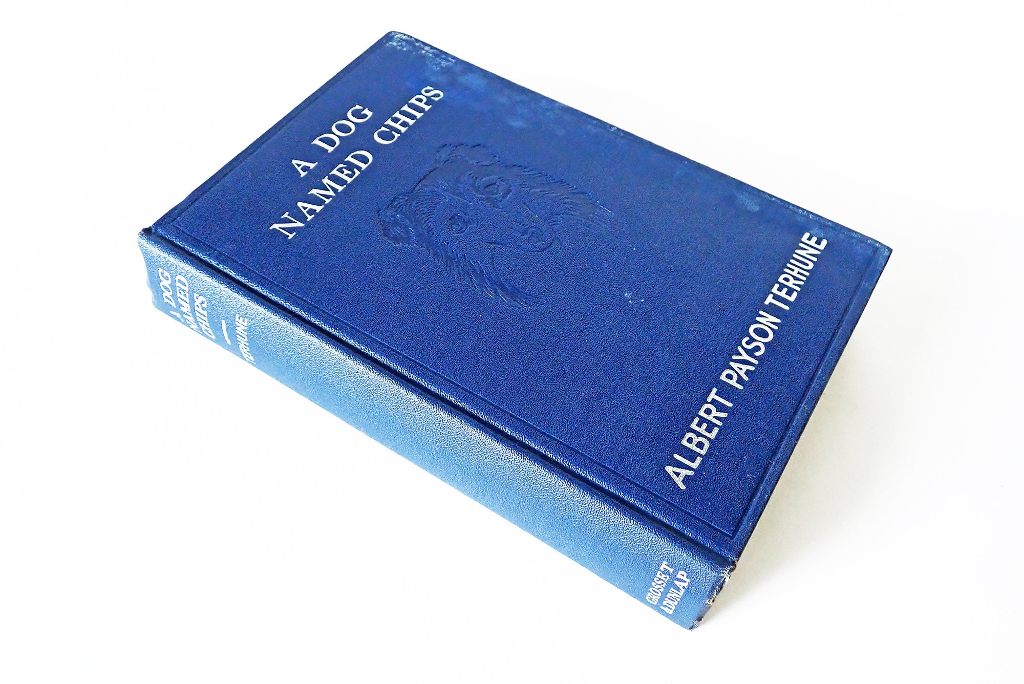 A Dog Named Chips by Albert Payson Terhune 1931 | Etsy