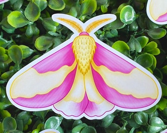 Moth Butterfly Stickers Luna, Rosy Maple More - Etsy