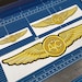 Enlisted Aircrew Wings Decal (master USAF) Full Color, Chief Aircrew ...