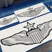 Pilot Wings Decal (senior USAF) Full Color, Pilot Badge, Pilot Wings ...