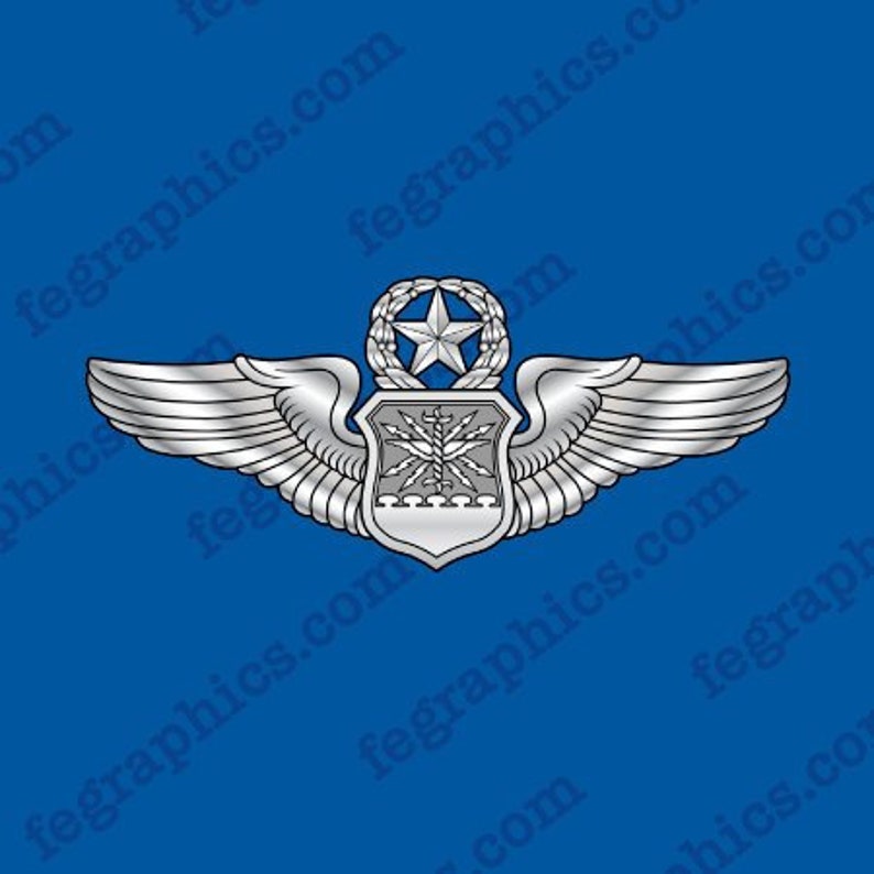 Navigator Wings Decal master USAF Full Color Navigator | Etsy