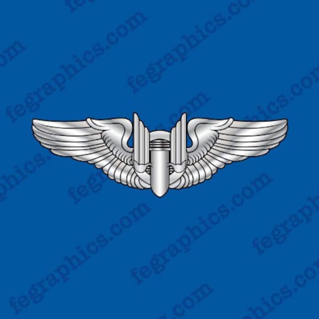 Aerial Gunner Wings Decal (full Color) Aerial Gunner Badge, Gunner ...
