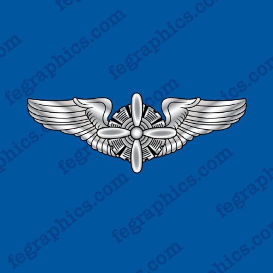 Flight Engineer Wings Decal (basic USAF) Full Color, FE Wings, Engineer ...