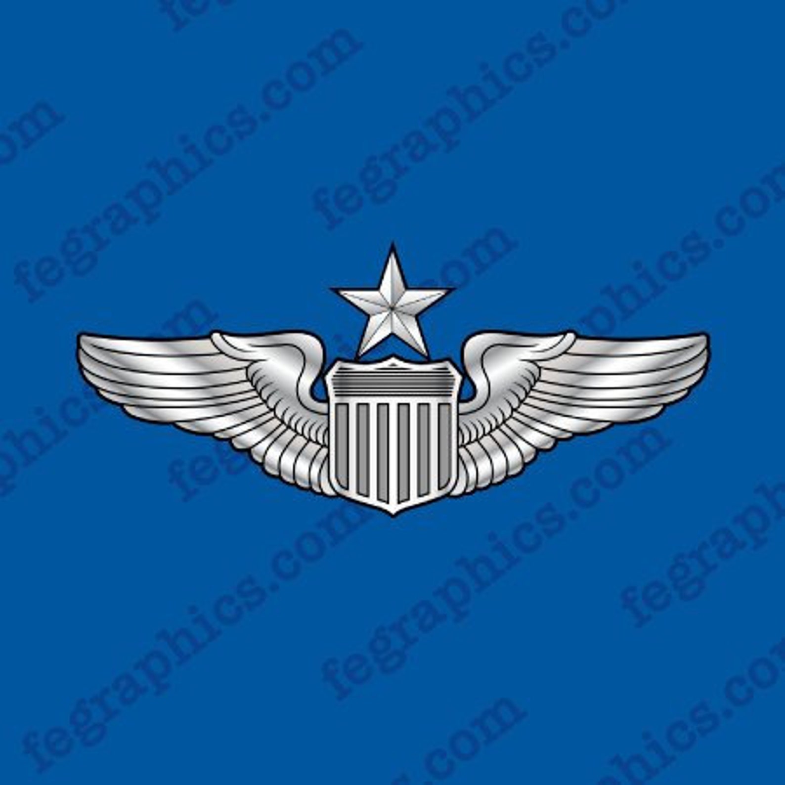 Pilot Wings Decal senior USAF Full Color, Pilot Badge, Pilot Wings ...