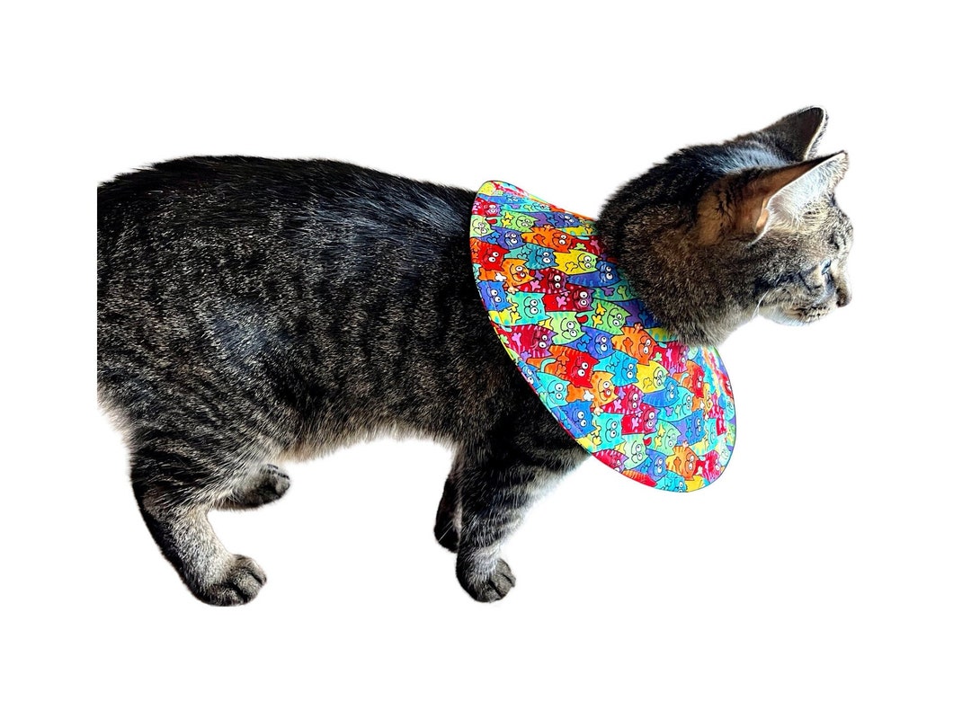 Wholesale Soft Recovery Collar 5-pack: Post-surgery E-collar for Cats & Small Dogs - Etsy
