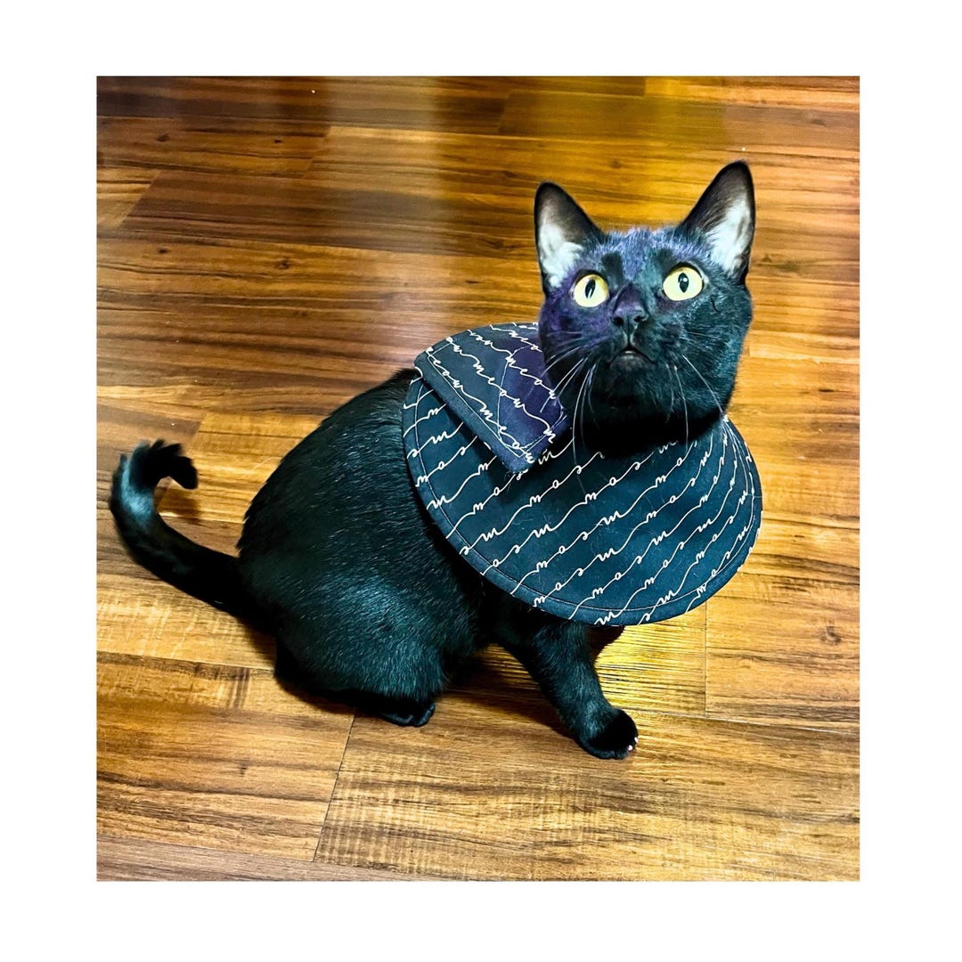 Soft Cat Recovery Collar - Black Meow Print, Comfortable E-collar ...