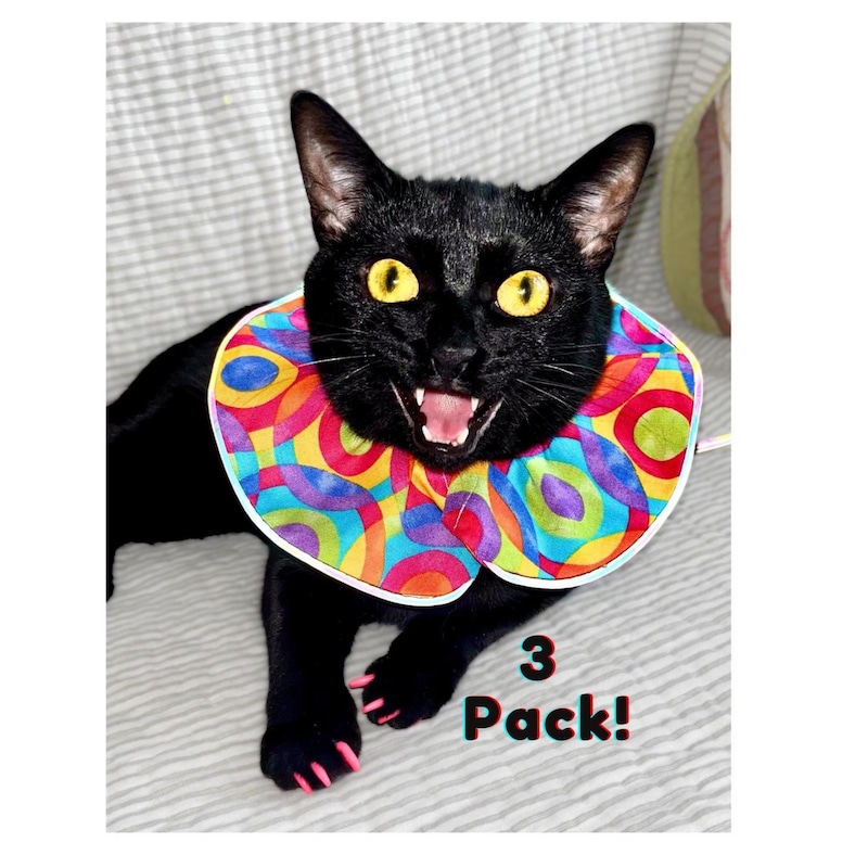 Cat Buckle Collars - Etsy