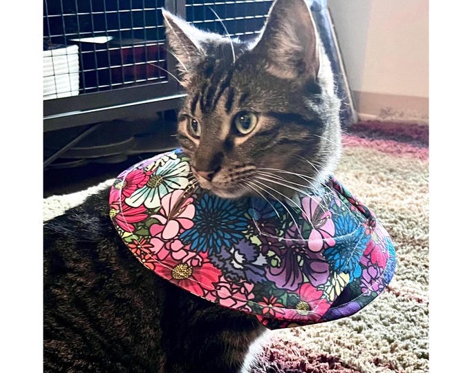Waterproof Cat Cone, Flexible Elizabethan Collar, E Collar, Water ...