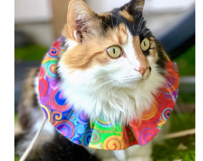 Autumn Cat Collar Fall Kitten Collar With Colorful Leaves Red, Yellow ...