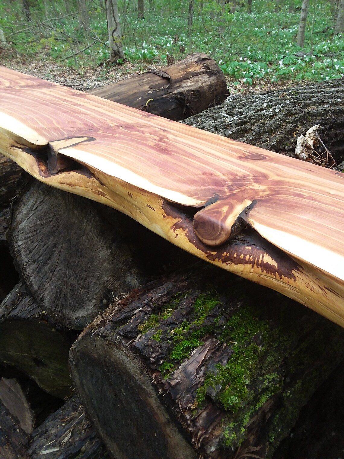 Live Edge Red Cedar Console Table / Large Shelf - Etsy