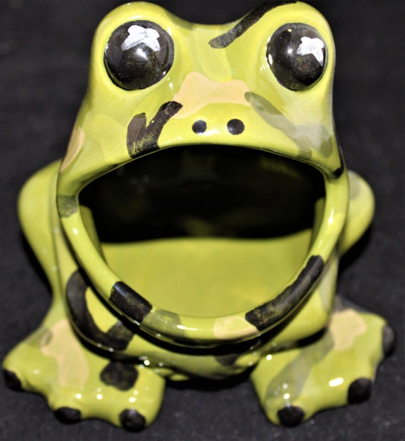 Frog Scrubby Holder-sos Pad-sponge Holder-candy - Etsy