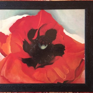 Poppy by Native Artist Georgia Okeeffe - Etsy