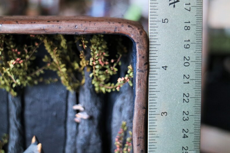 Enchanted Forest Shadow Box the Forest at Night 6.25 X 5 X - Etsy