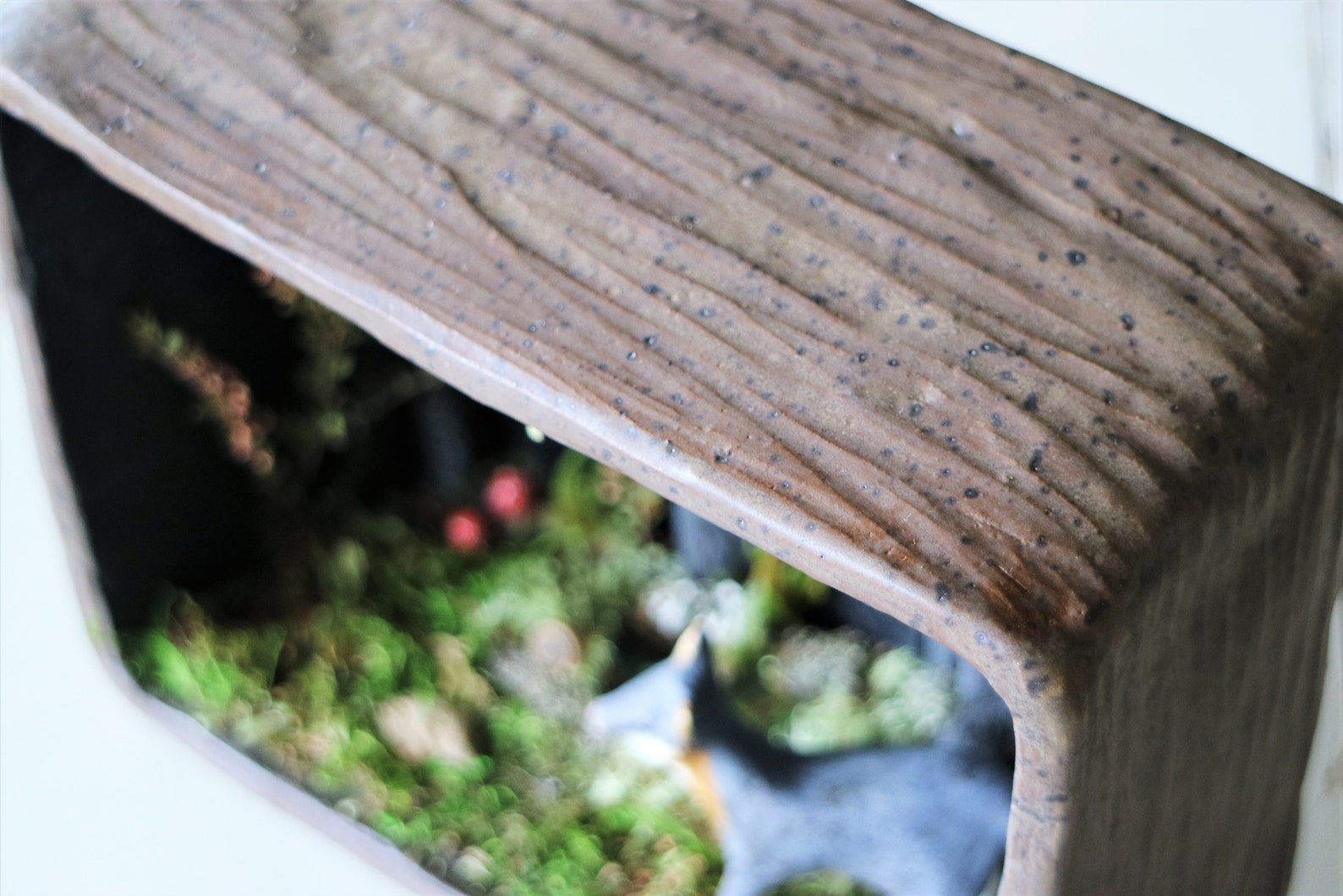 Enchanted Forest Shadow Box the Forest at Night 6.25 X 5 X - Etsy