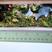 Enchanted Forest Shadow Box the Forest at Night 6.25 X 5 X 2.75 Inches ...
