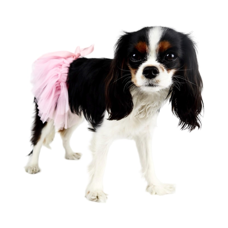 Dog Tutu - Etsy
