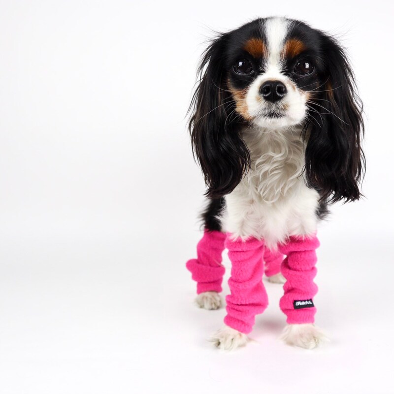 Leg Warmers for Dogs - Etsy