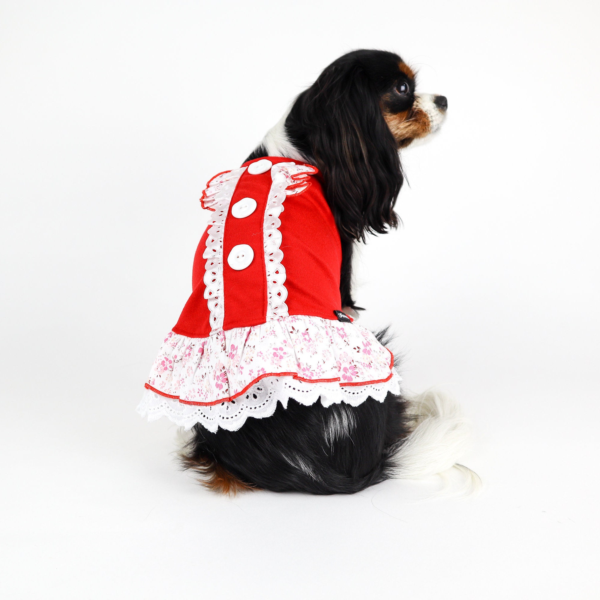 Dog Sun Dress Red White Lace Ruffles Boho Cute Small Dogs Free Shipping
