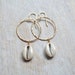 Cowrie Shell Earrings, Cowrie Hoop Earrings, Gold Hoop Earrings, Shell ...