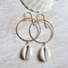 Cowrie Shell Earrings, Cowrie Hoop Earrings, Gold Hoop Earrings, Shell ...