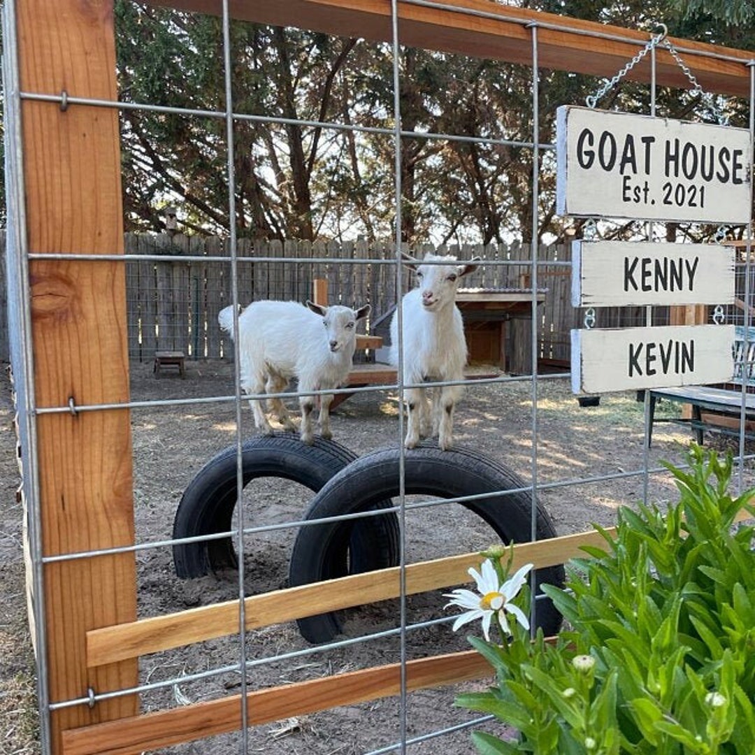 Chicken Coop Sign Custom Duck Coop Sign Hanging Coop Sign Chicken Names ...