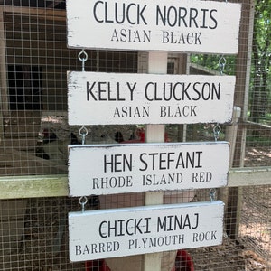 Chicken Coop Sign Custom Duck Coop Sign Hanging Coop Sign Chicken Names ...