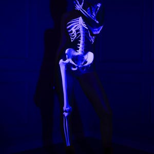 Skeleton Costume Women, Skeleton Halfy Costume, Skeleton Bodysuit Women ...