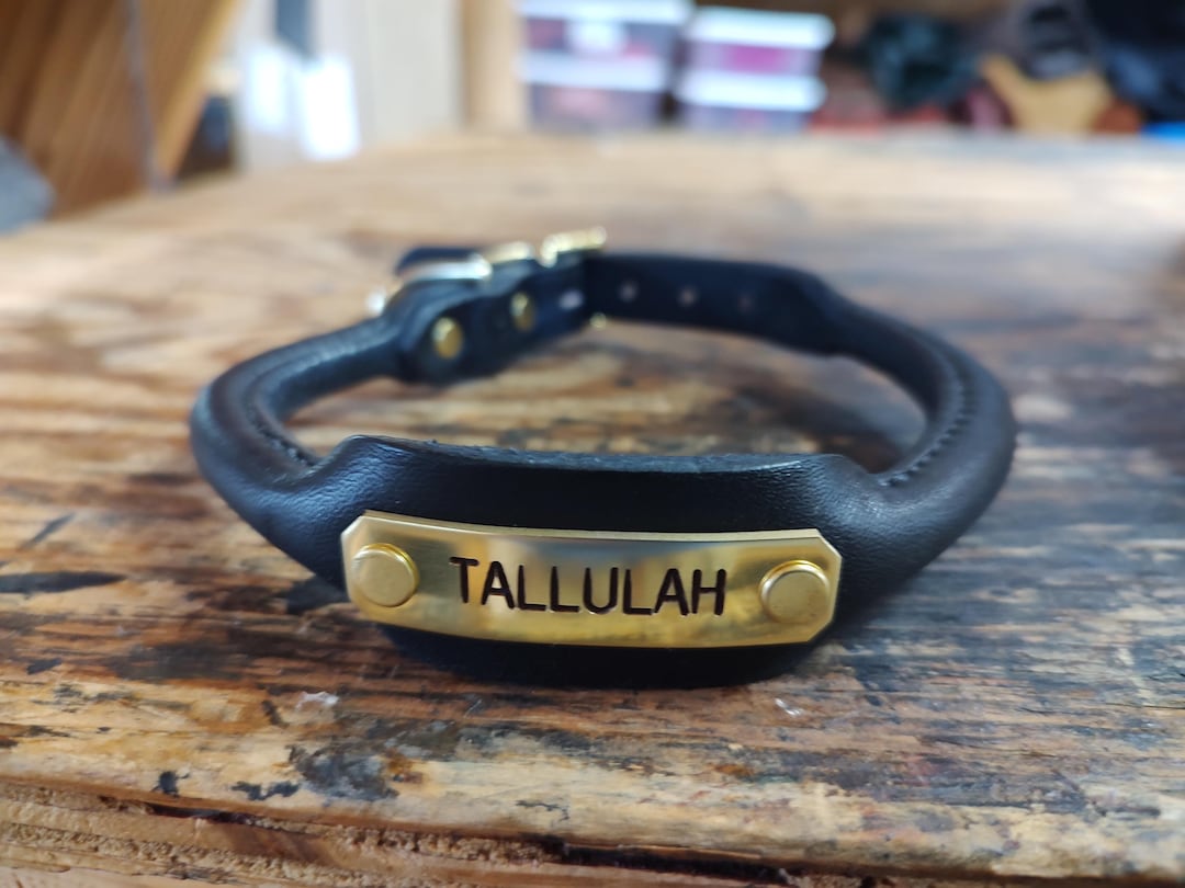 Rolled Dog Color With Nameplate - Etsy