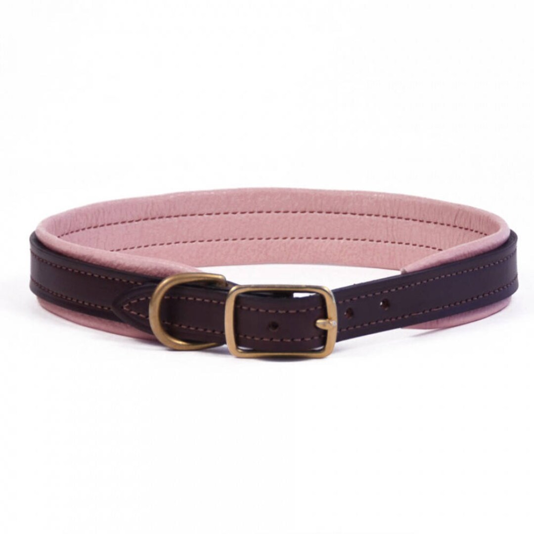 Dark Brown Padded Dog Collar - Etsy