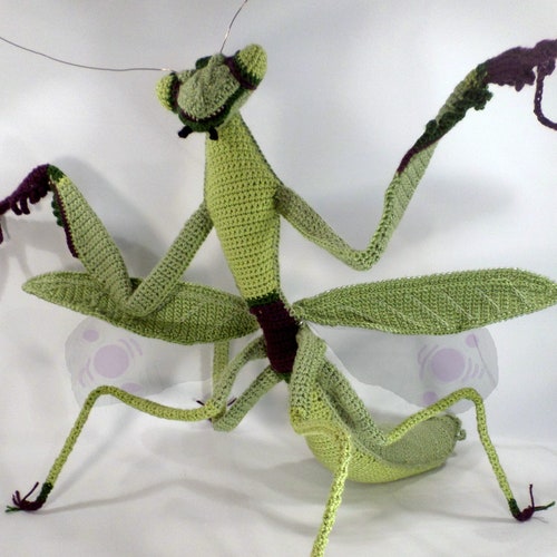 Praying Mantis Crochet Pattern - Etsy