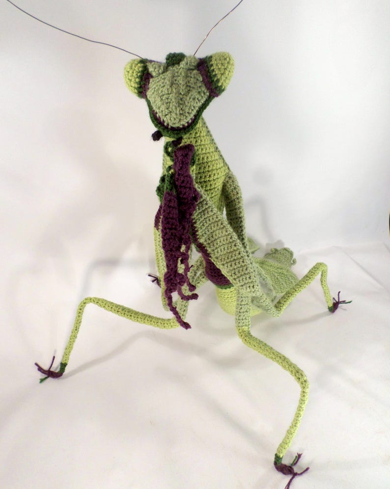 PATTERN: Praying Mantis // Instant PDF Download //DIY // Kid - Etsy UK