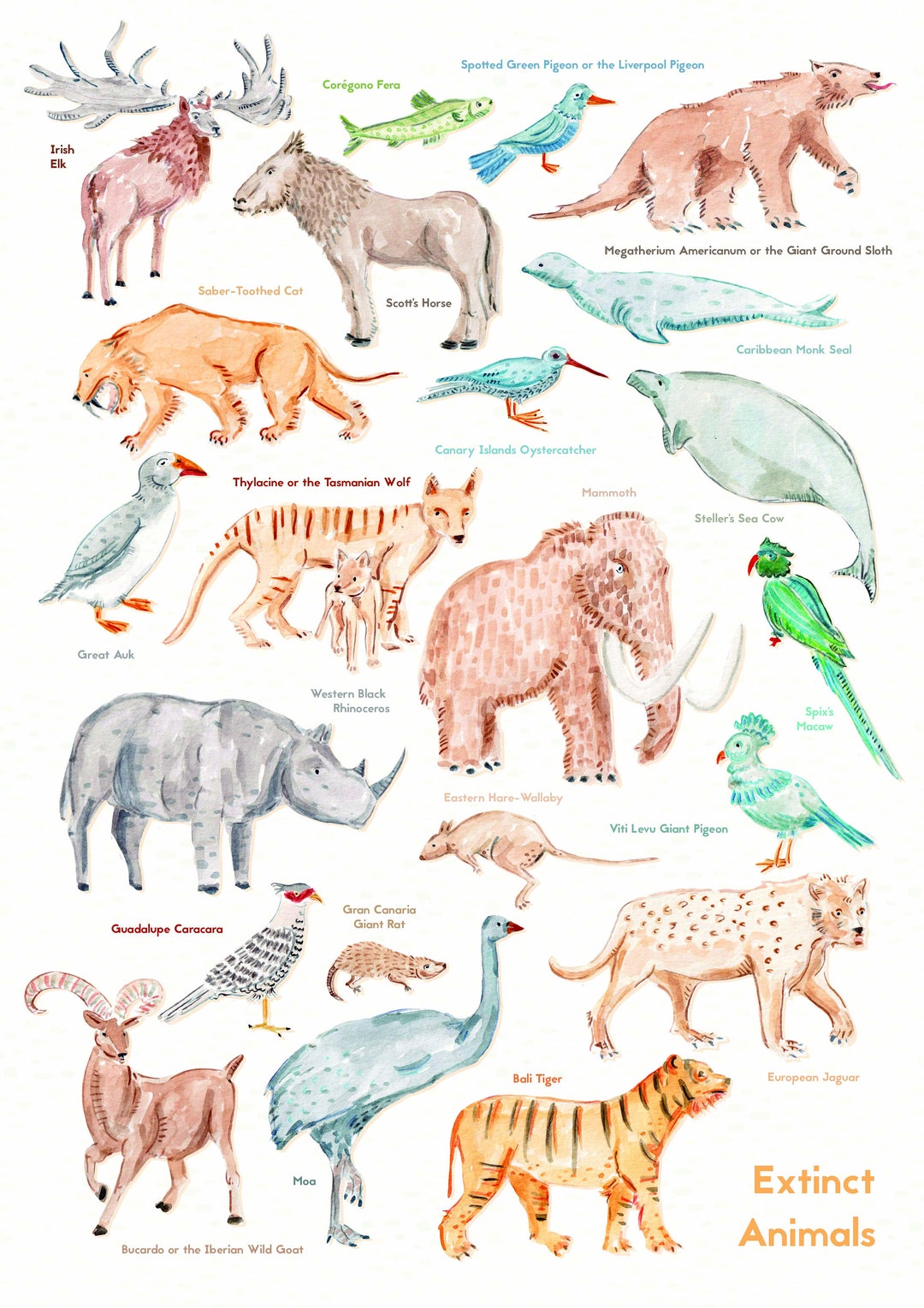 Extinct Animals Poster A3 - Etsy UK