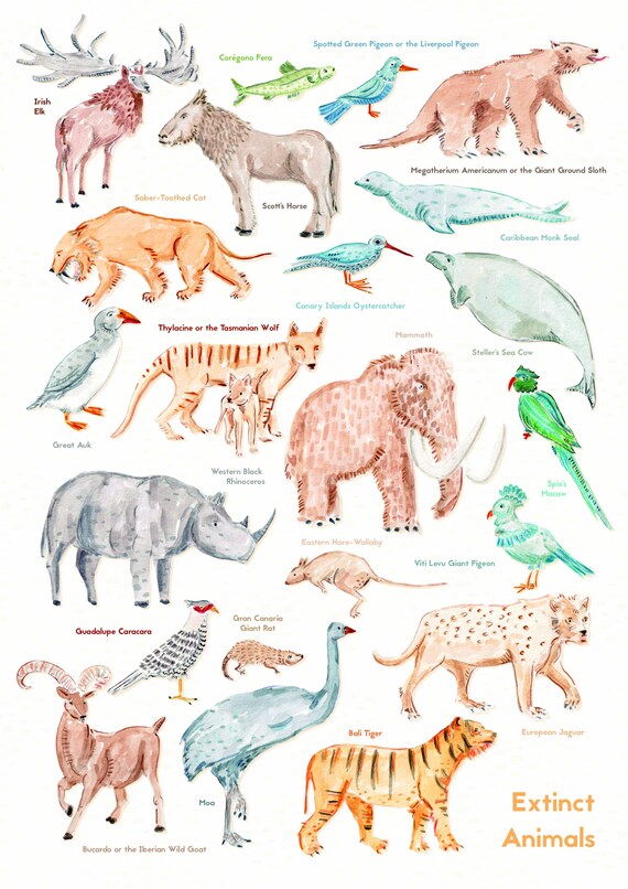 Extinct Animals Poster A3 | Etsy UK