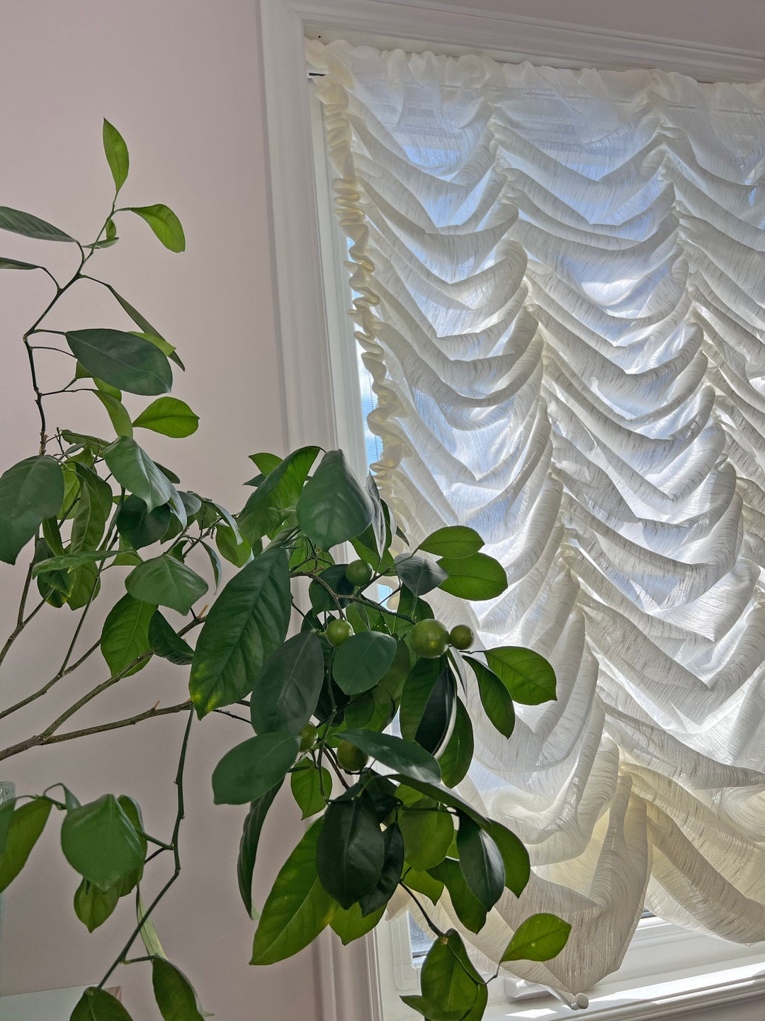 Custom Order: Austrian Shades, French Marquise Shades, French Ballon ...