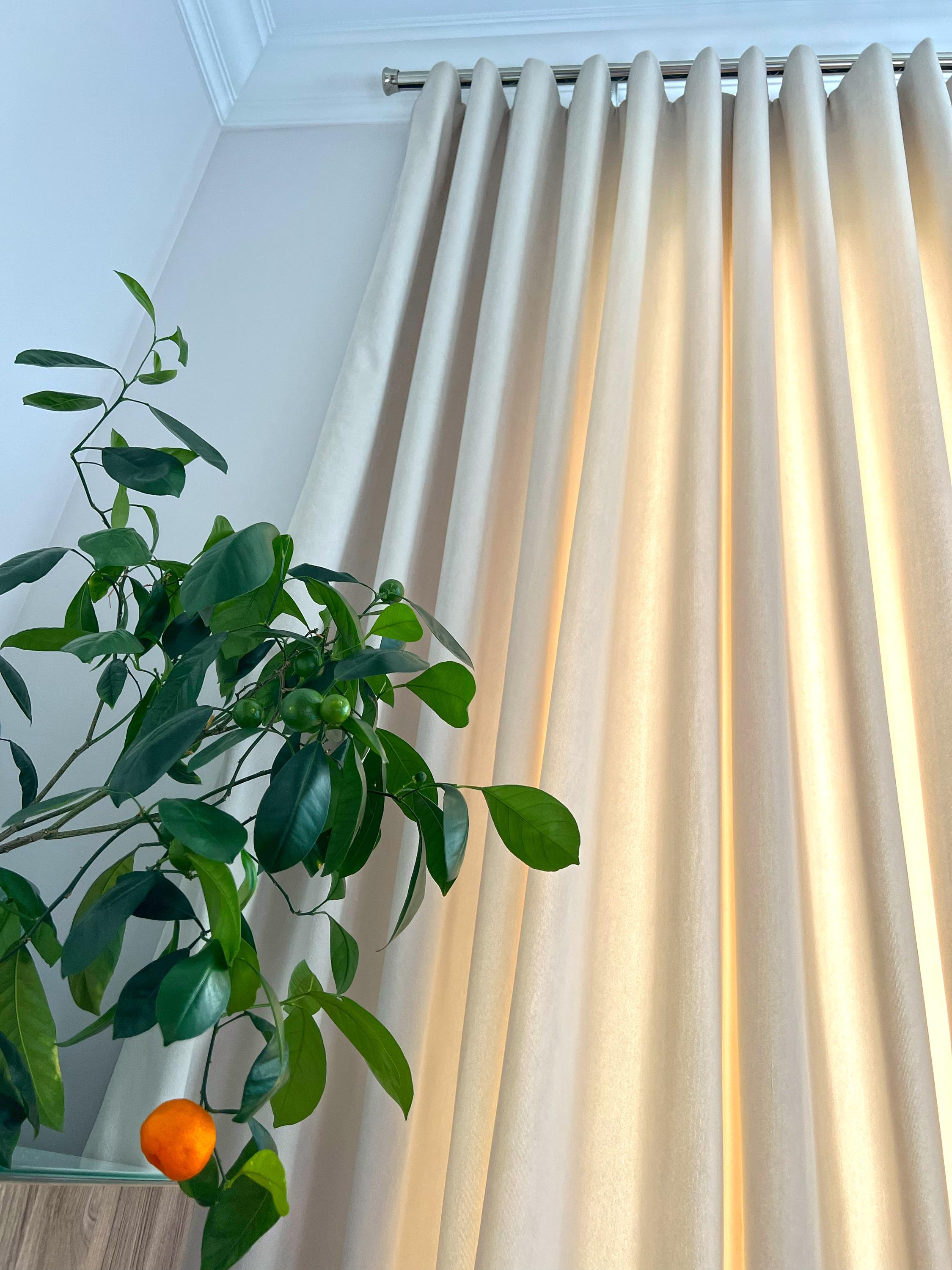 Custom Made Velvet S-fold Style Drapery, Ripple Fold Curtains Zella ...